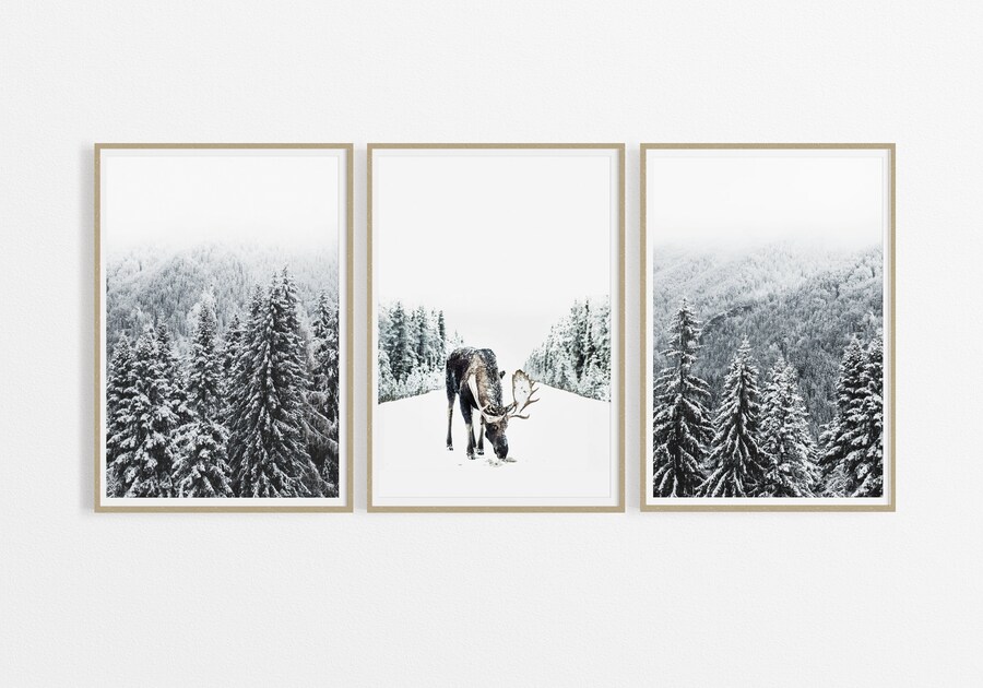 DaniloDesignStore - Etsy