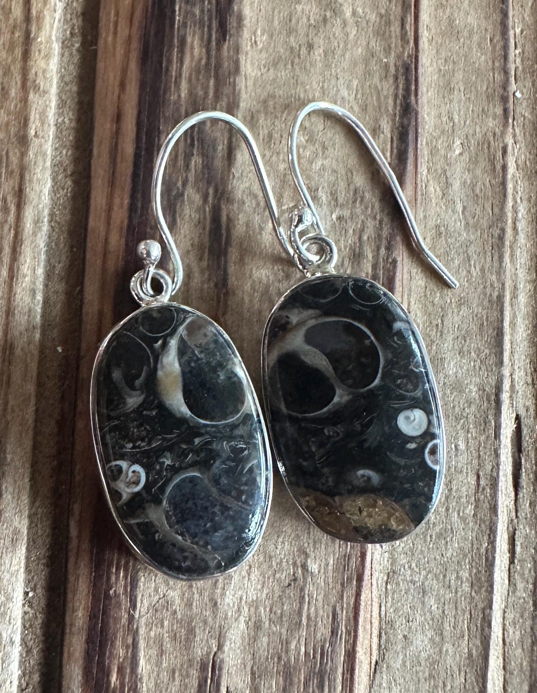Turtella Jasper Sterling Silver Dangle Earrings, Wyoming USA Gems, Oval ...