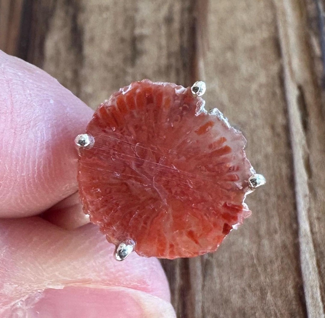 Red Horn Coral Sterling Silver Ring, Size. 7, Utah USA Gem, Agatized ...