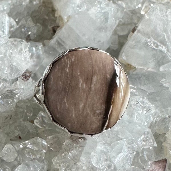 Petrified Wood Ring - Etsy