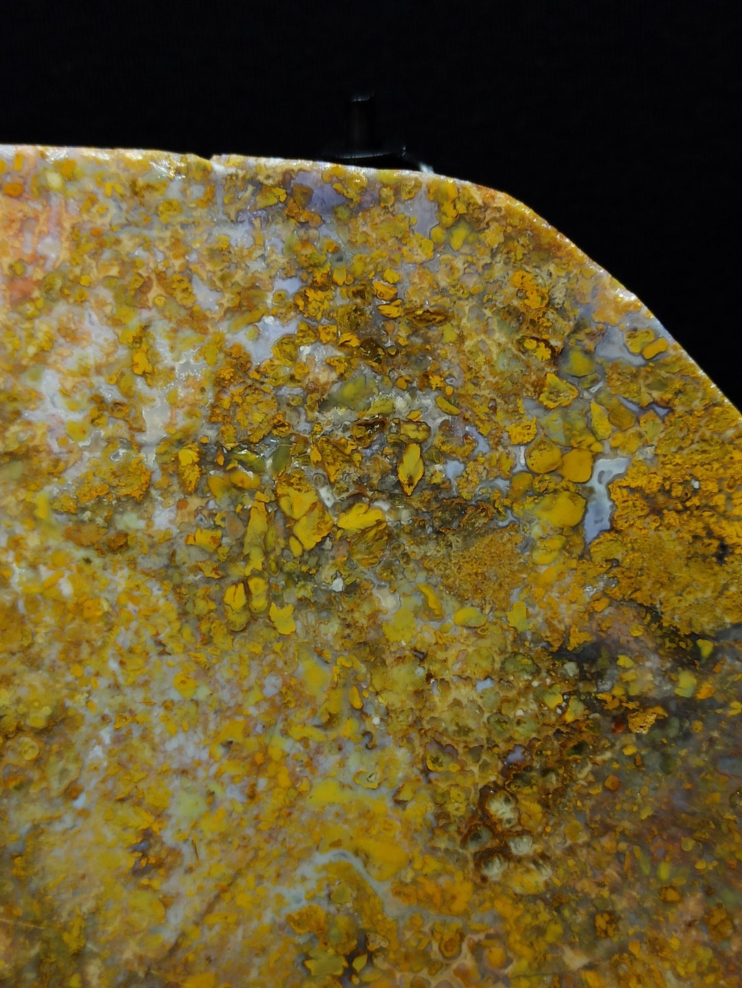 Yellow Moss Jasper Agate Slab, Cut and Polished Turkish Agate Slice ...