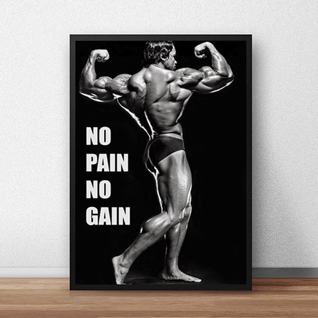 Arnold Schwarzenegger Bodybuilding Poster, Canvas Print, Wall Art ...