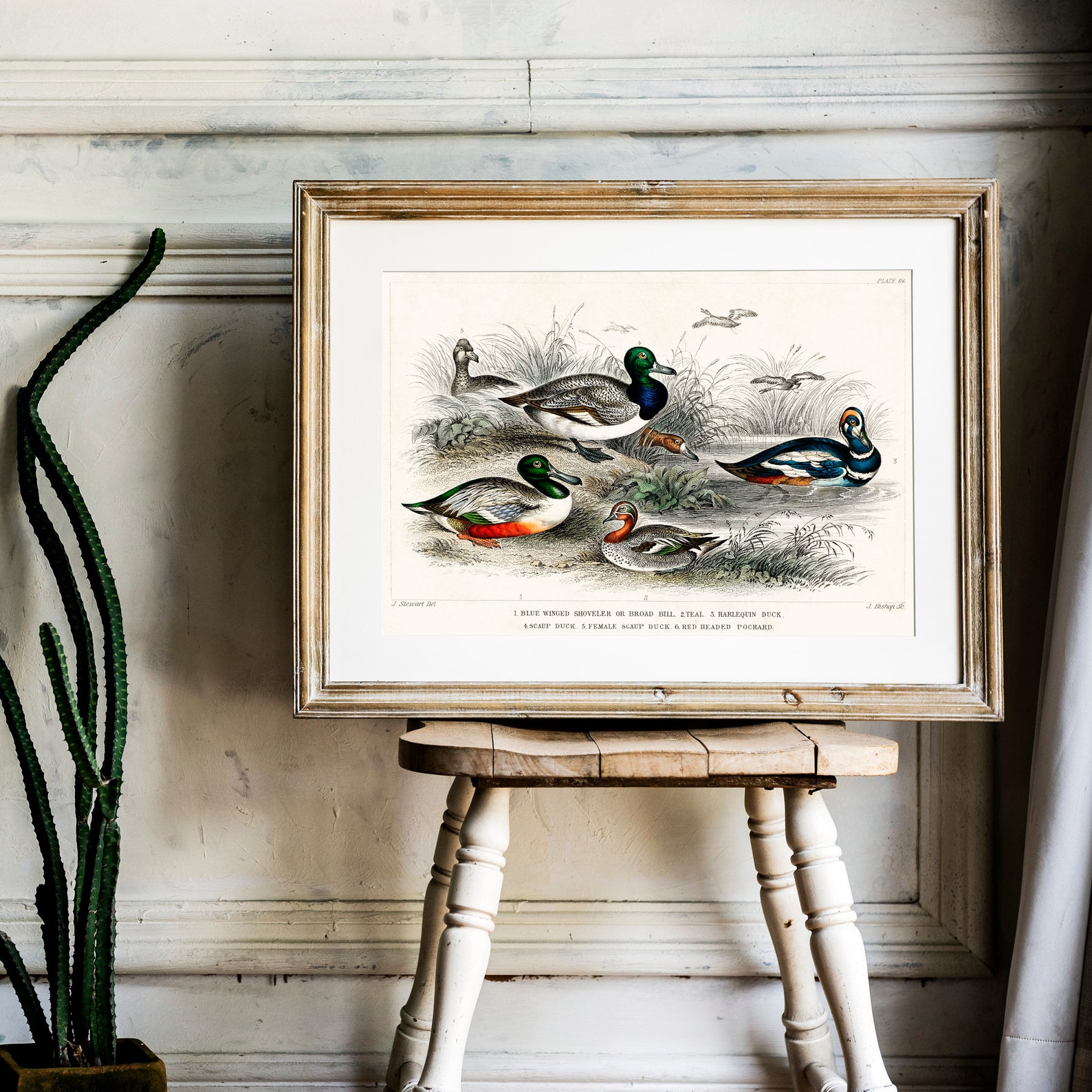 Framed Ducks Print, Wall Art Decor, Framed Art, Illustrated by Oliver ...