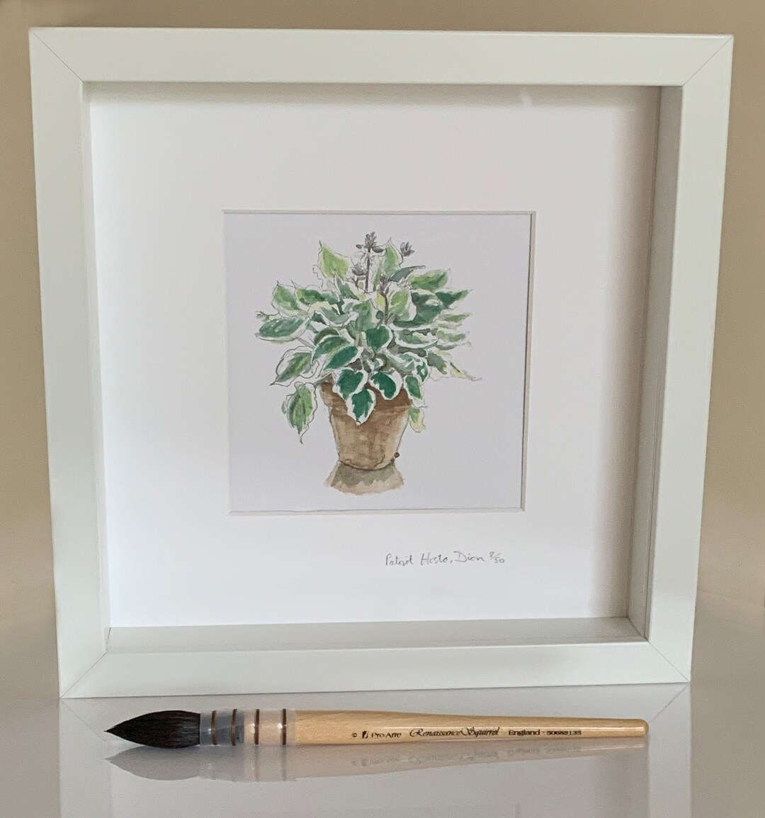 Hosta, Patriot Hosta, Fathers Day Gift for Dad, Gardener Gift, Hosta ...