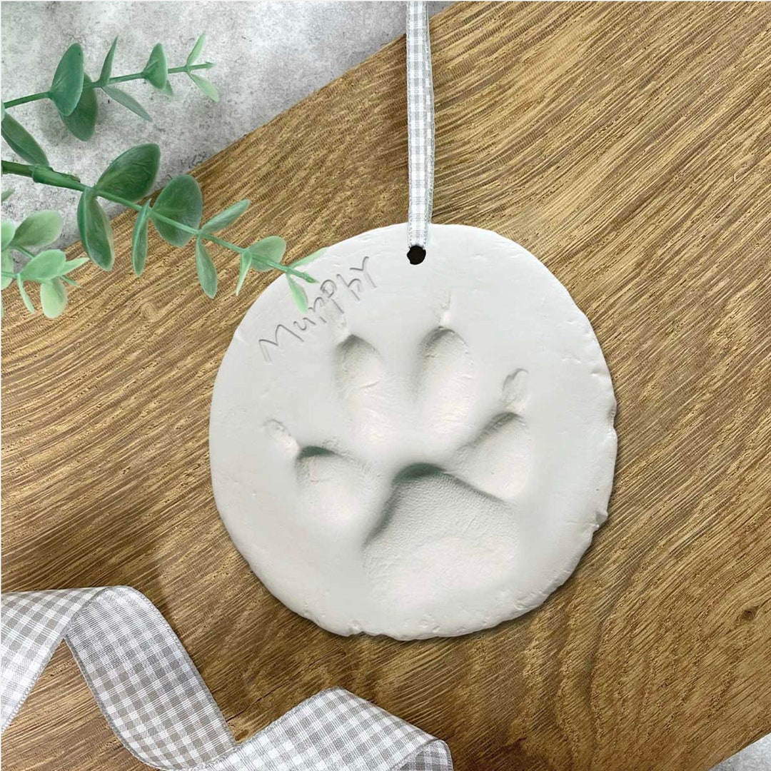Clay Pet Paw Impression Moulding Kit - Etsy