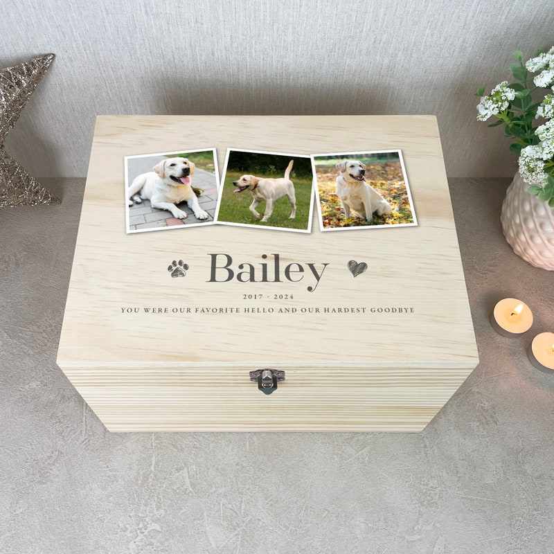 Dog Urns Pet Storage - Etsy UK