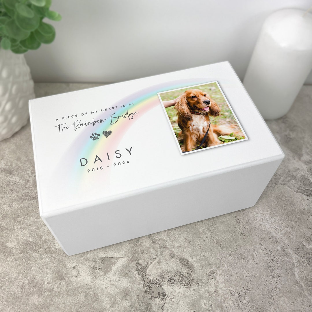 Personalised Soft Rainbow Bridge Photo Large Cremation Urn for Pets ...