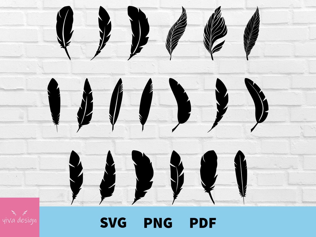 19 Feather Svg Bundle, Feather Svg, Png, Feather Clipart, Feather Cut ...