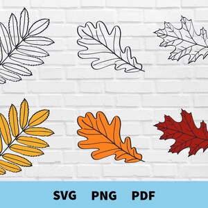 Fall Leaves Svg Autumn Leaves Svg Commercial Use Svg Fall - Etsy