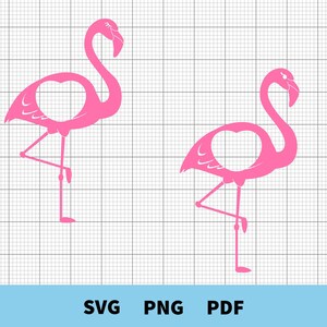 Flamingo Svg Bundle, Flamingo Monogram Svg, Flamingo Circle Frame Svg ...