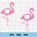 Flamingo Svg Bundle Flamingo Monogram Svg Flamingo Circle - Etsy