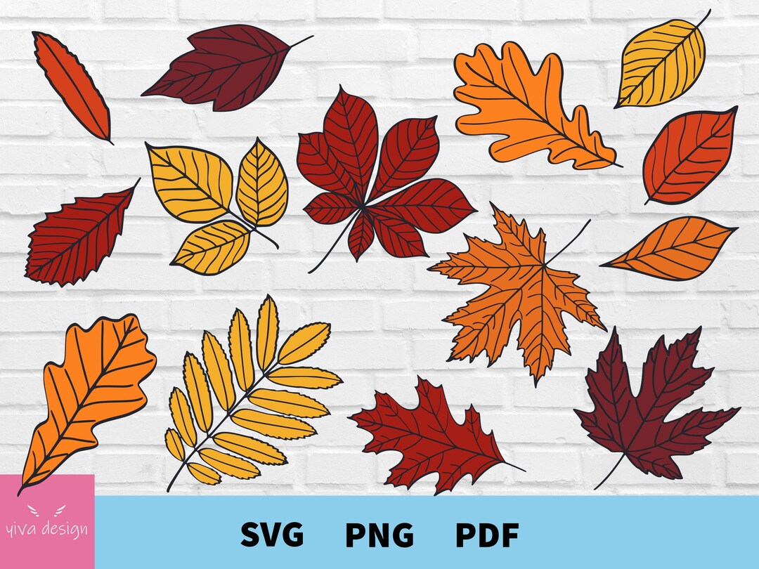 Fall Leaves Svg Autumn Leaves Svg Commercial Use Svg Fall - Etsy