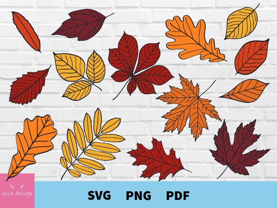 Fall Leaves Svg Autumn Leaves Svg Commercial Use Svg Fall - Etsy