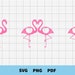 Flamingo Svg Bundle Flamingo Monogram Svg Flamingo Circle - Etsy