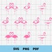 Flamingo Svg Bundle Flamingo Monogram Svg Flamingo Circle - Etsy