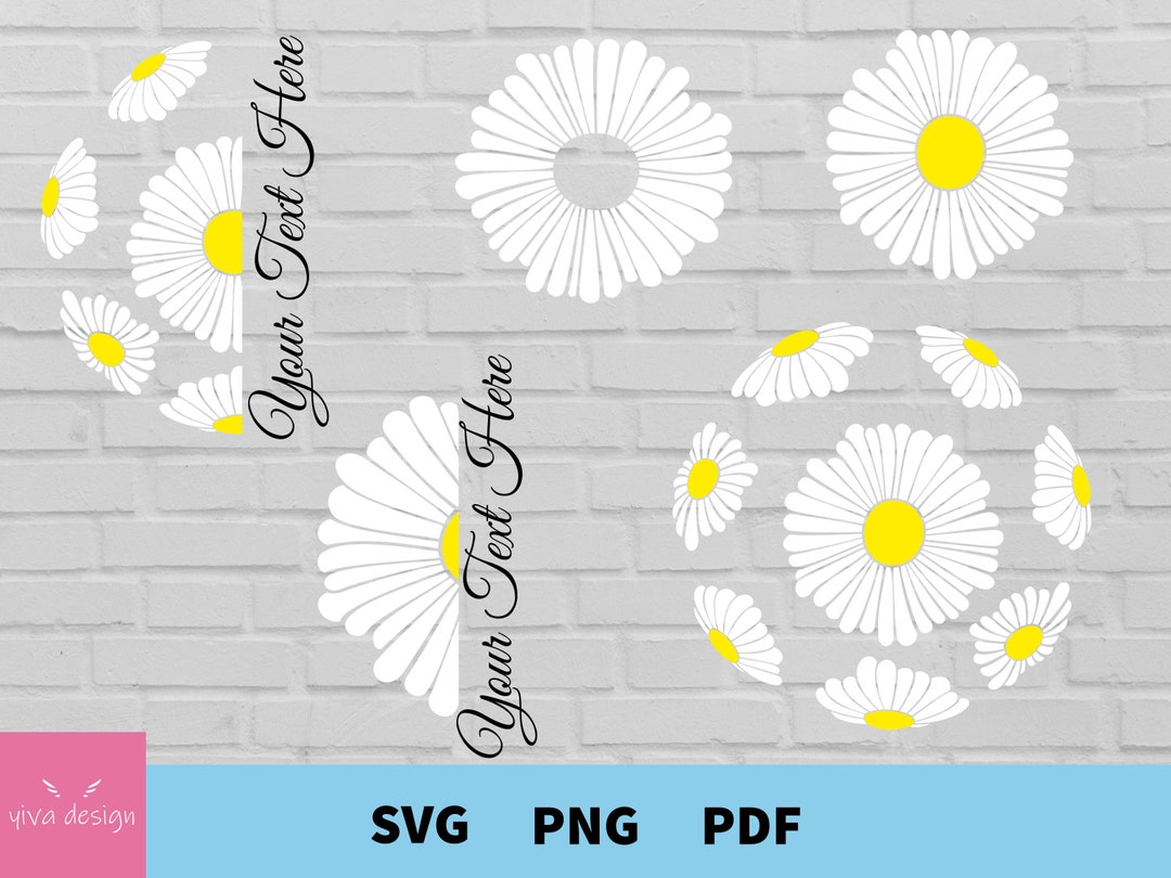 Daisy Svg, Daisy Svg Bundle, Daisy Monogram Frame Svg, Split Daisy Svg ...