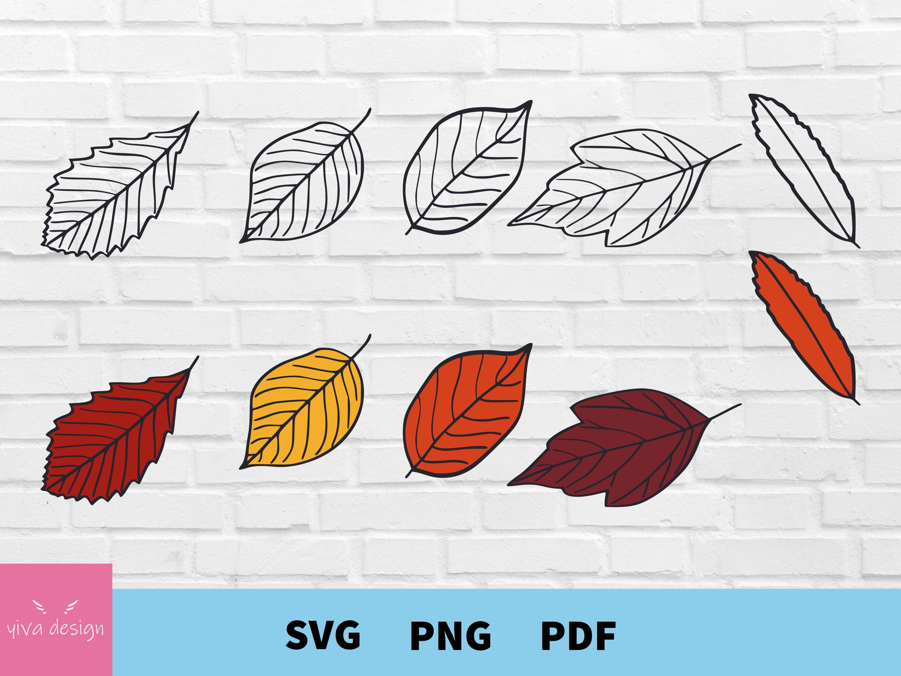 Fall Leaves Svg Autumn Leaves Svg Commercial Use Svg Fall - Etsy