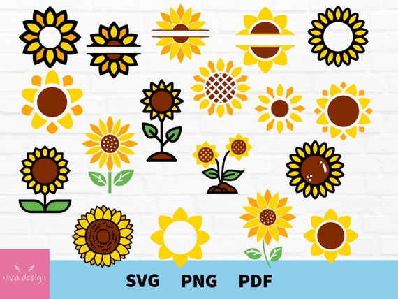 Sunflower Svg Sunflowers Svg Sunflower Bundle Svg Split | Etsy