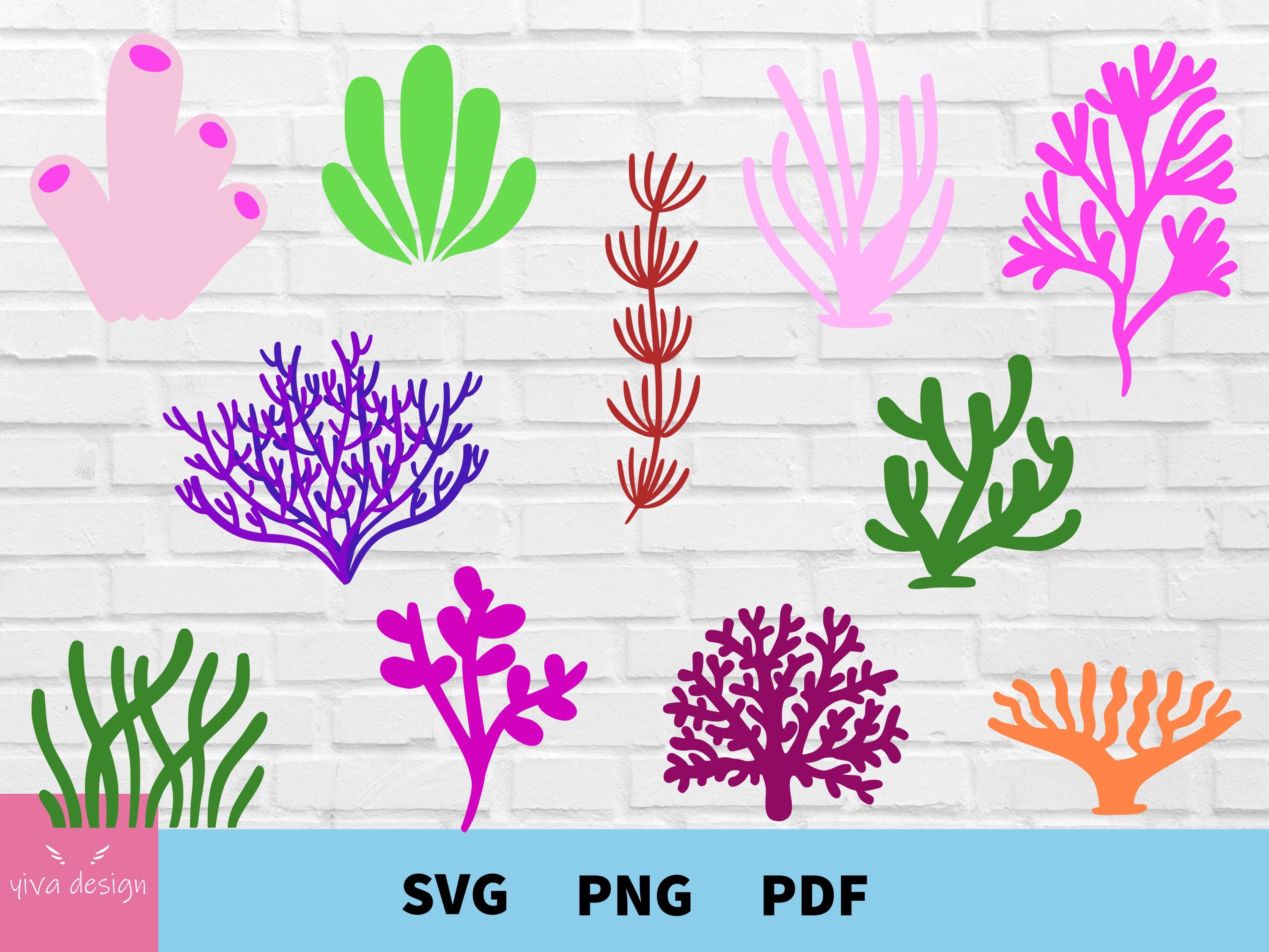 Coral SVG Bundle Sea Plant Svg Under the Sea Svg Underwater - Etsy