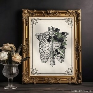 Gothic Rib Cage Illustration Print, Vintage Anatomy Wall Art With a ...