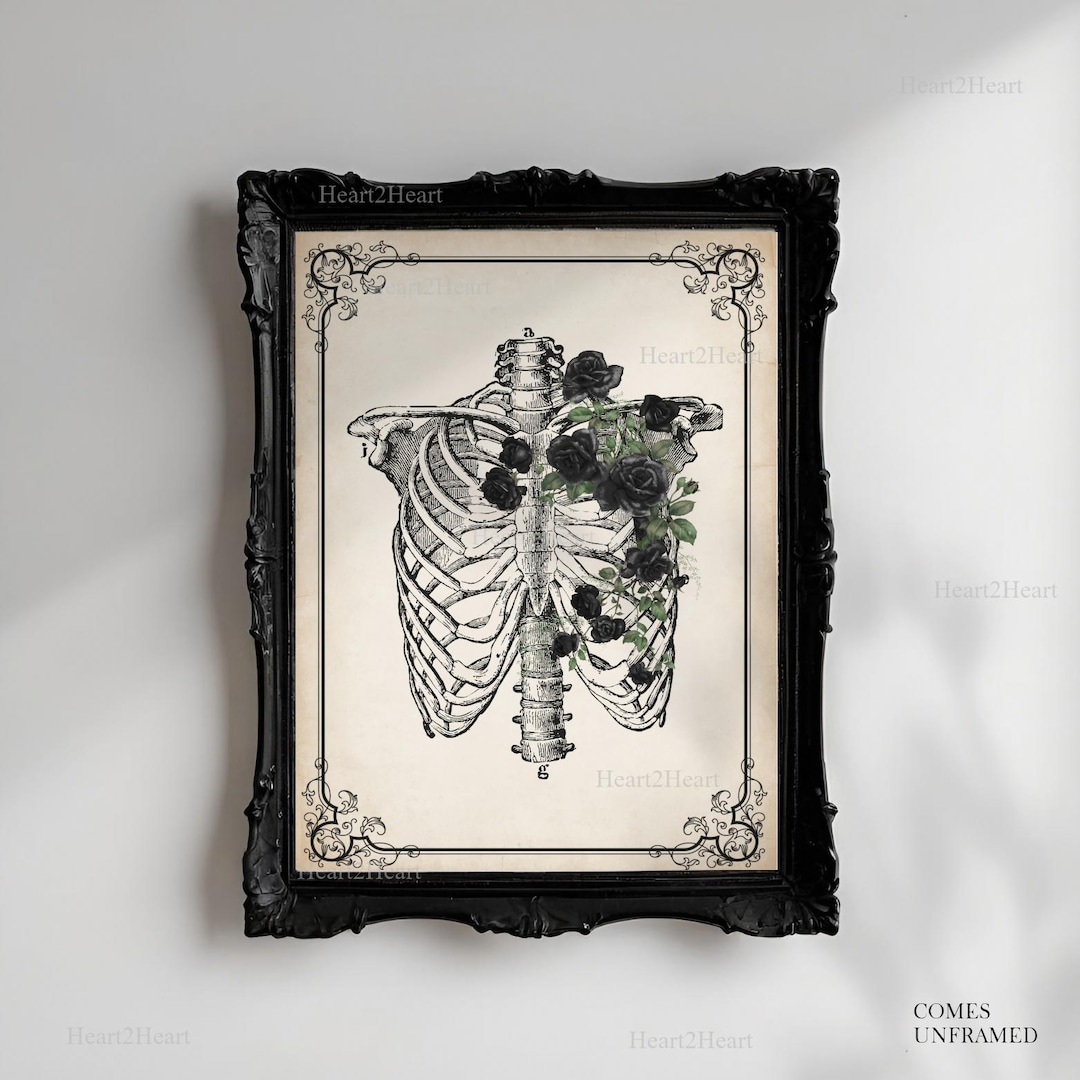 Gothic Rib Cage Illustration Print, Vintage Anatomy Wall Art With a ...