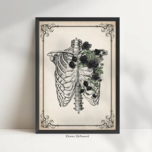 Gothic Rib Cage Illustration Print, Vintage Anatomy Wall Art With a ...