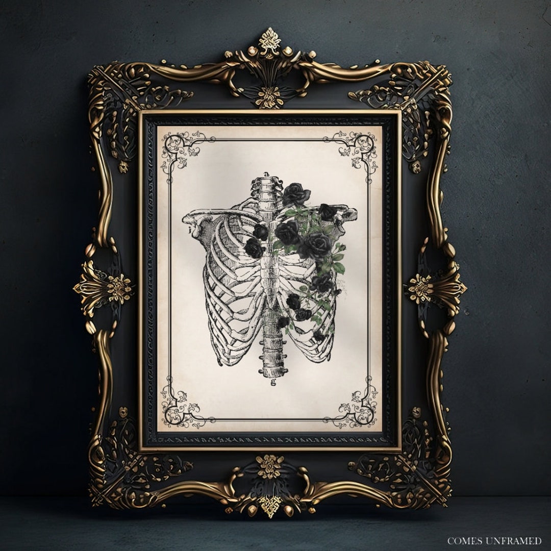 Gothic Rib Cage Illustration Print Vintage Anatomy Wall Art - Etsy UK