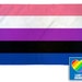 Genderfluid Pride Flag Socks Genderfluid Clothing Gender | Etsy