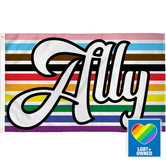 ALLY Pride Flag 3' X 5' Pride Flag Ally Pride Flag | Etsy
