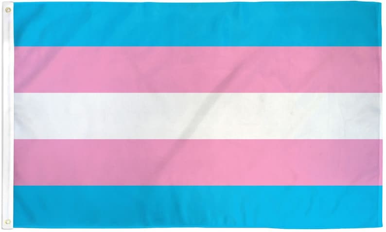 Gay pride flags trans folk - vametohio