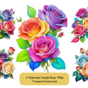 Watercolor Rainbow Rose Clipart PNG Set- Invitation Clipart, and Other ...