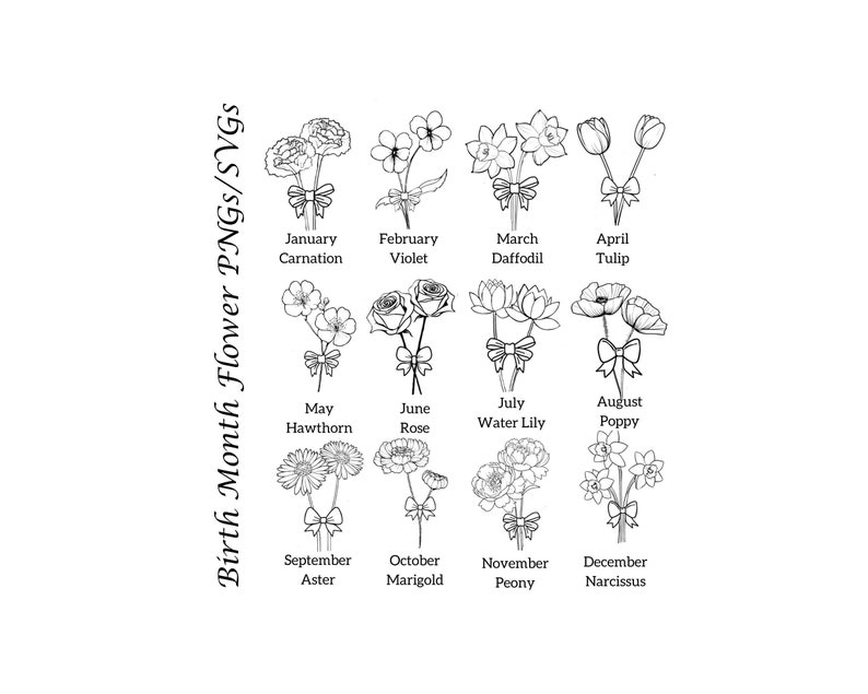 Birth Month Flower PNG SVG Clipart birth Flower Line Art PNG Gift for ...