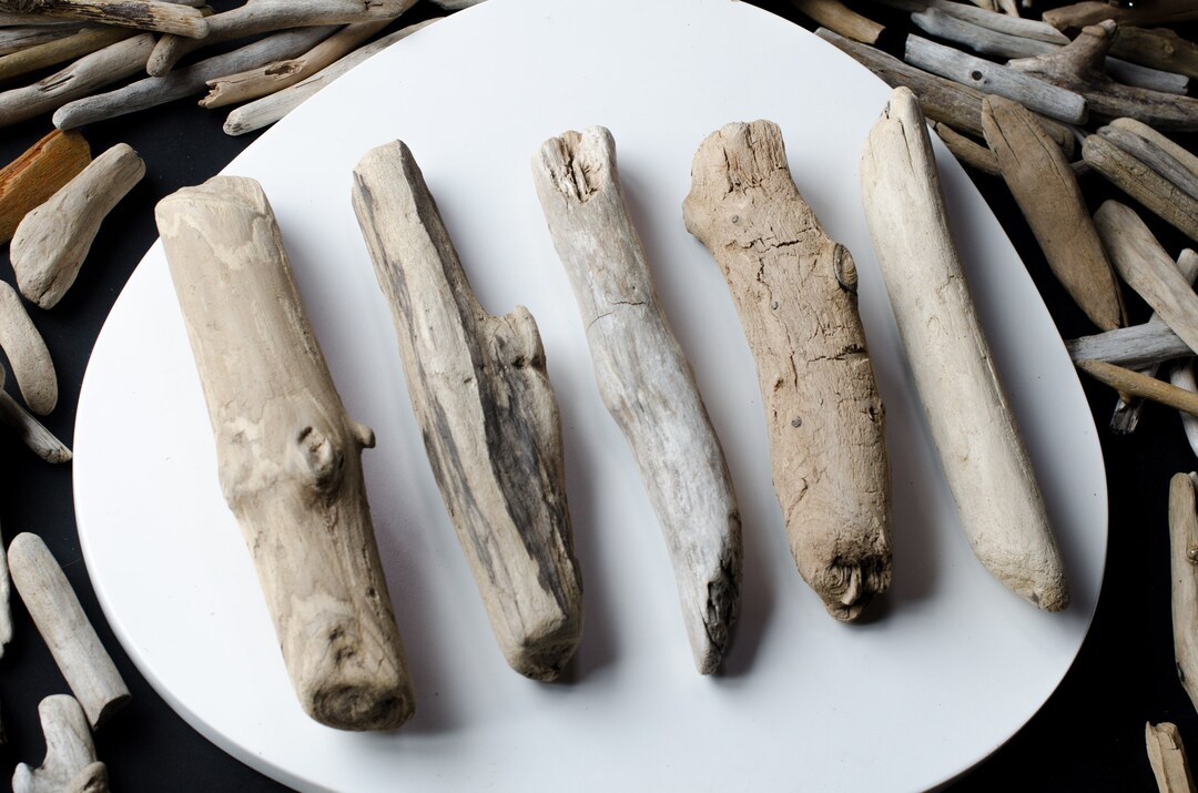 Thick Driftwood for Crafting Decorations (5 Pieces) | Forestfamilyshop ...