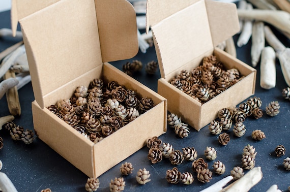 Mini Pinecones 60 or 120 Miniature Pinecones for Craft - Etsy