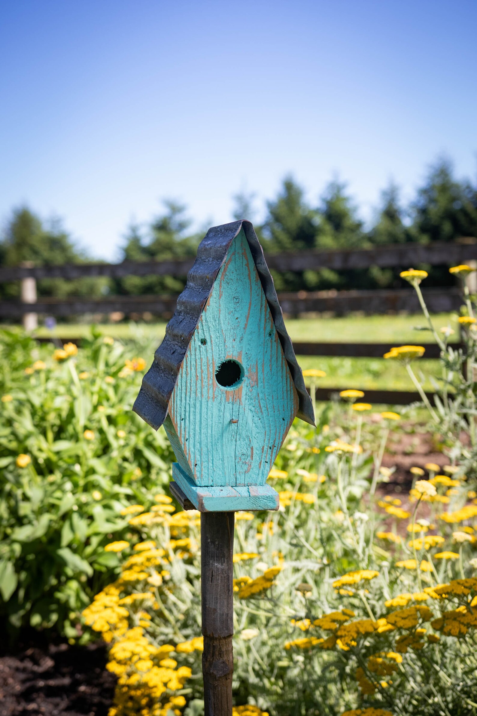 A-frame Unique Birdhouse Attracts Downy Woodpeckers Chickadees Titmice ...