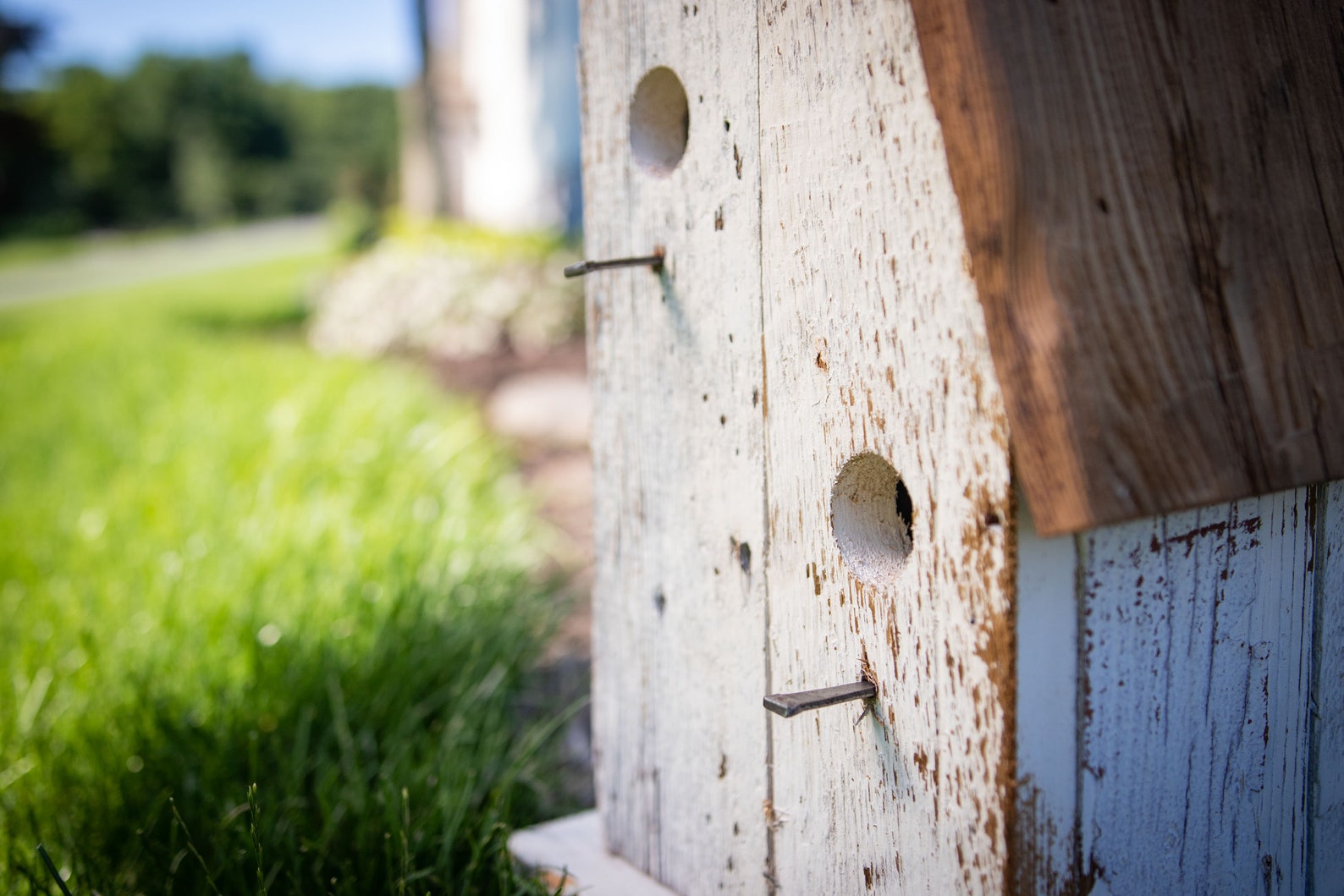 Rustic Lean-to Outdoor Birdhouse Unique Birdhouse Antique | Etsy