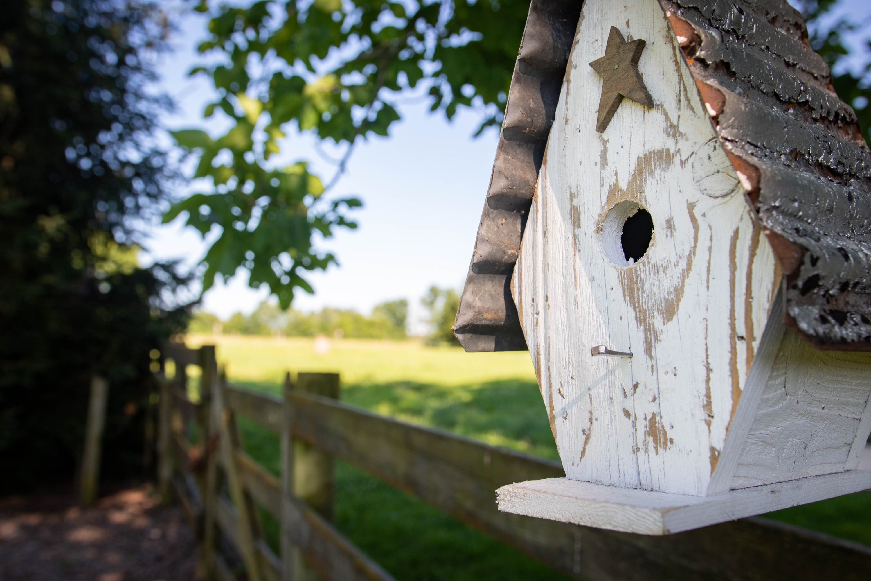 A-frame Unique Birdhouse Attracts Downy Woodpeckers Chickadees Titmice ...