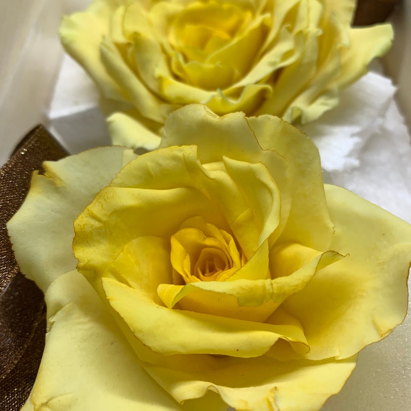 Sugar Flowers - Etsy