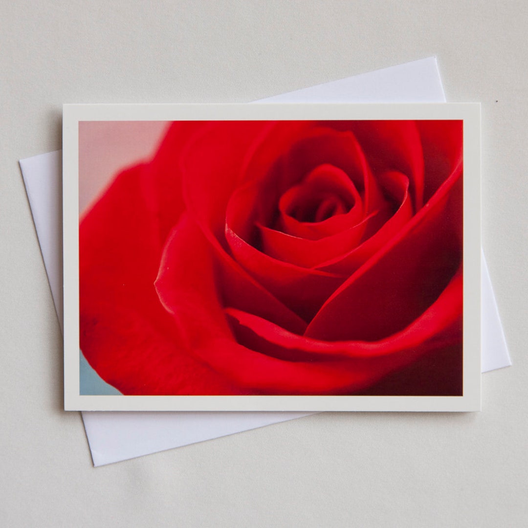 Valentine's Day Red Rose Notecards and Gift Enclosures - Etsy