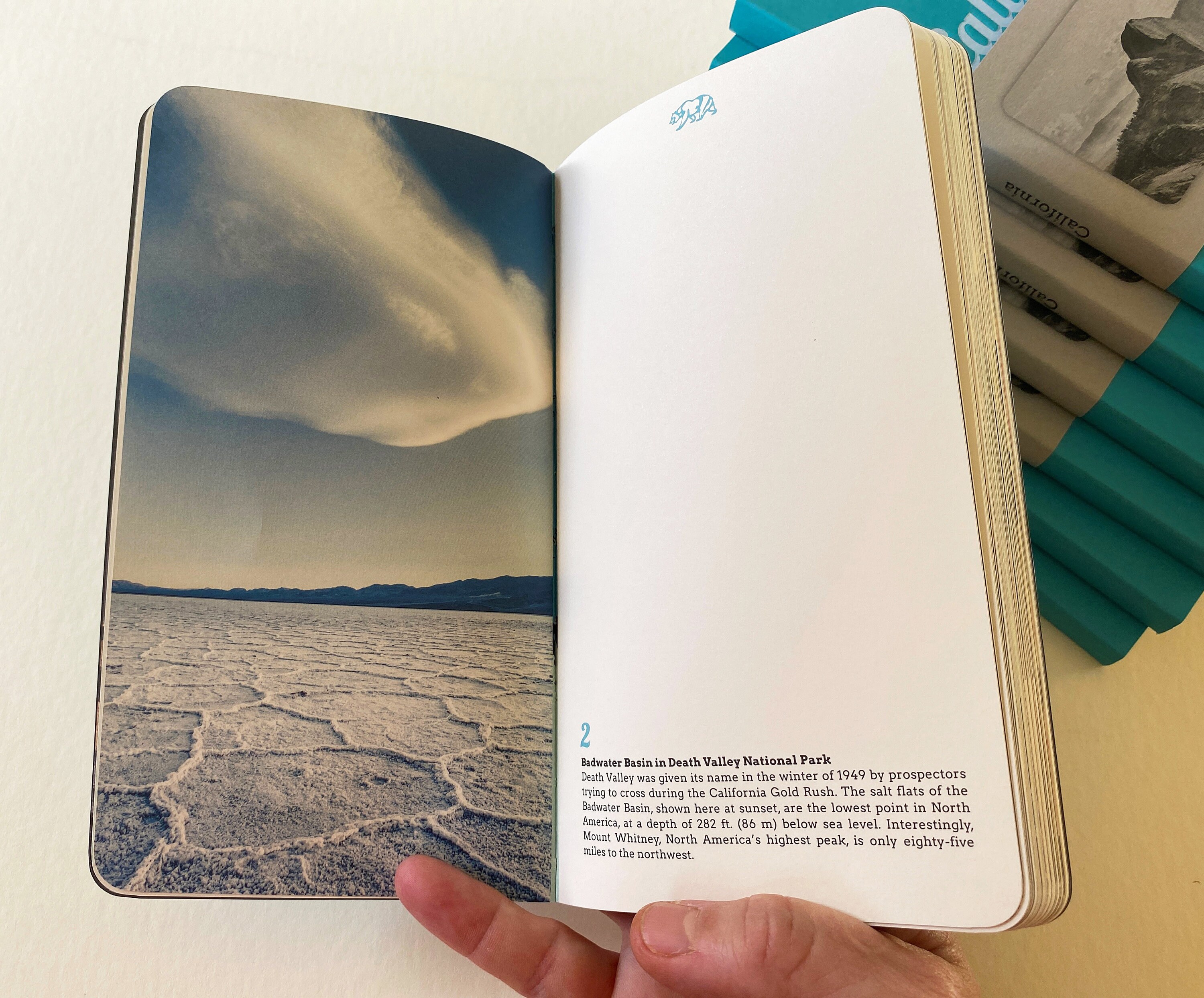 California Notebook California Travel Journal California | Etsy UK