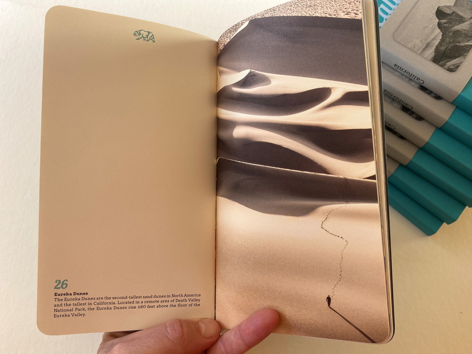 California Notebook California Travel Journal California | Etsy UK