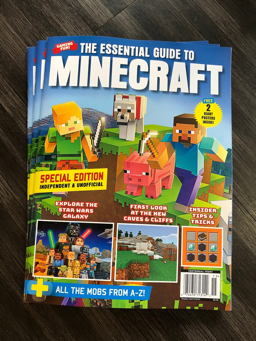 The Essential Guide to Minecraft Special Edition 2021 - Etsy