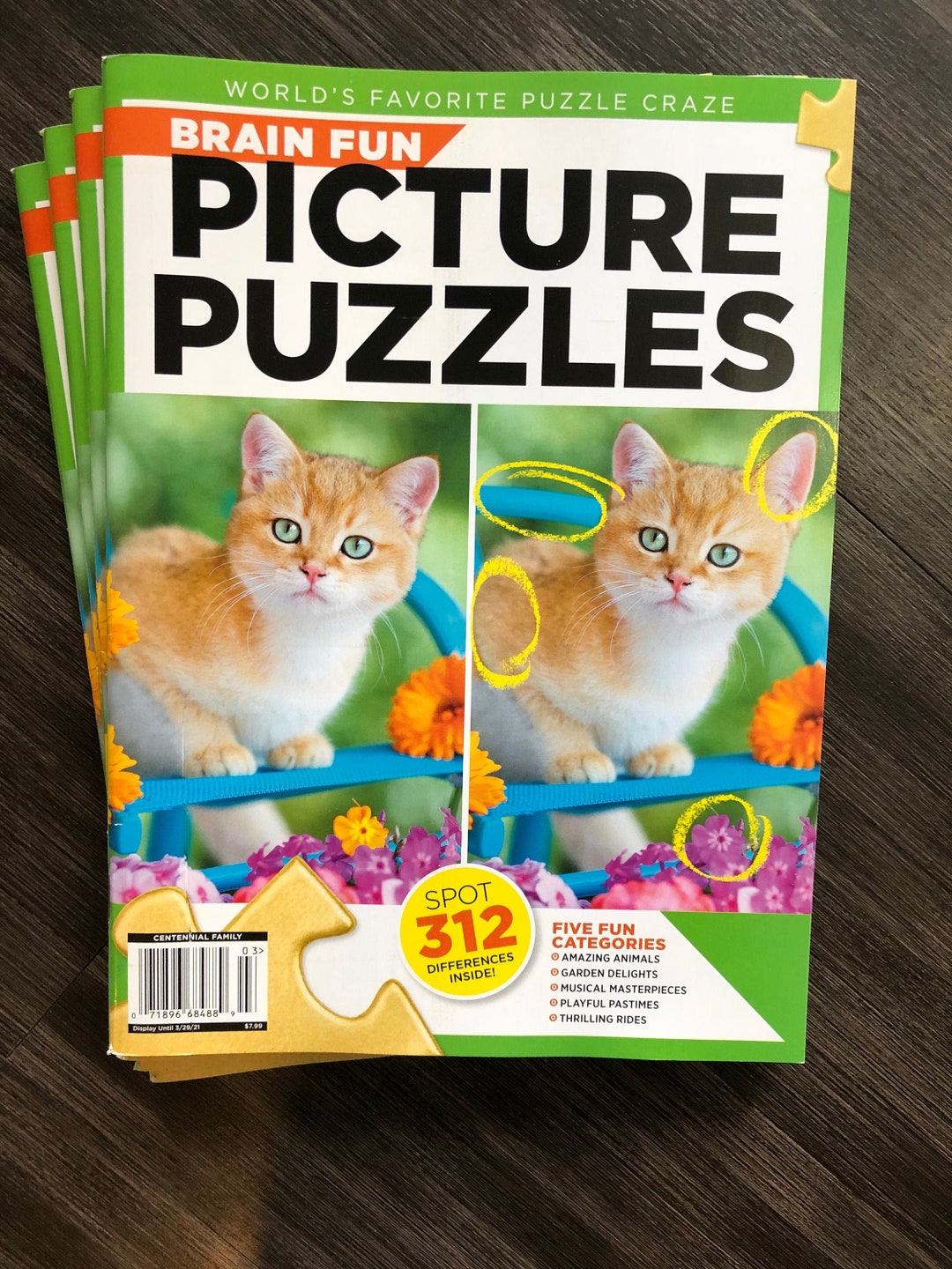 Brain Fun Picture Puzzles 2021 - Etsy