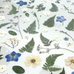 Acrylic Wedding Sign With Real Pressed Flowers - Etsy