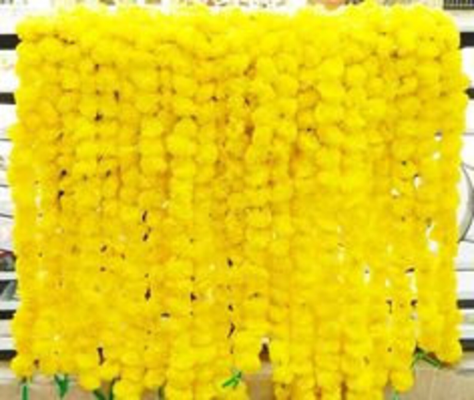 Express Shipping 30 Strings Yellow Indian Marigold Garland - Etsy