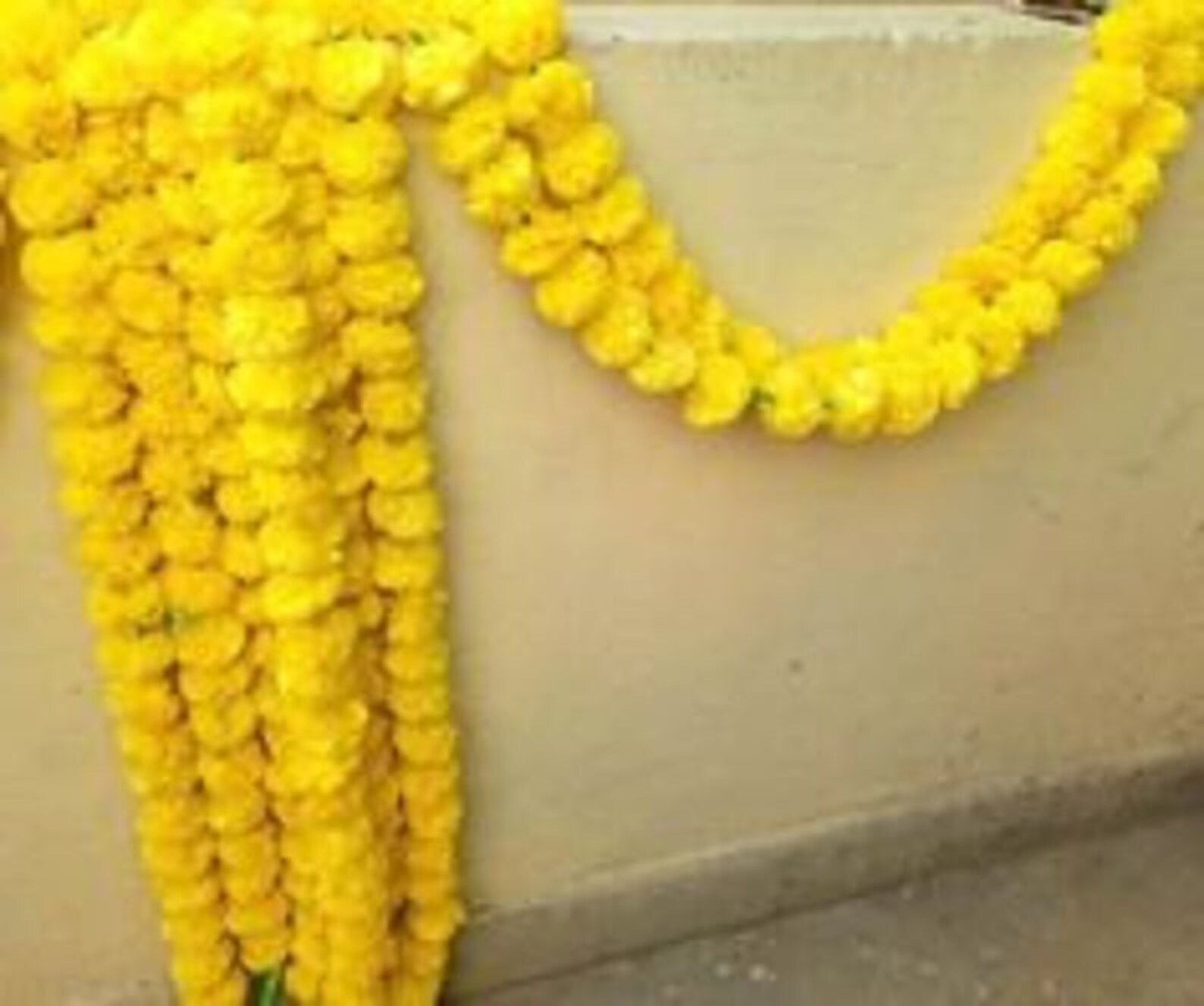 MARIGOLD FLOWER Garland/string Dia De Los Muertos Diwali - Etsy