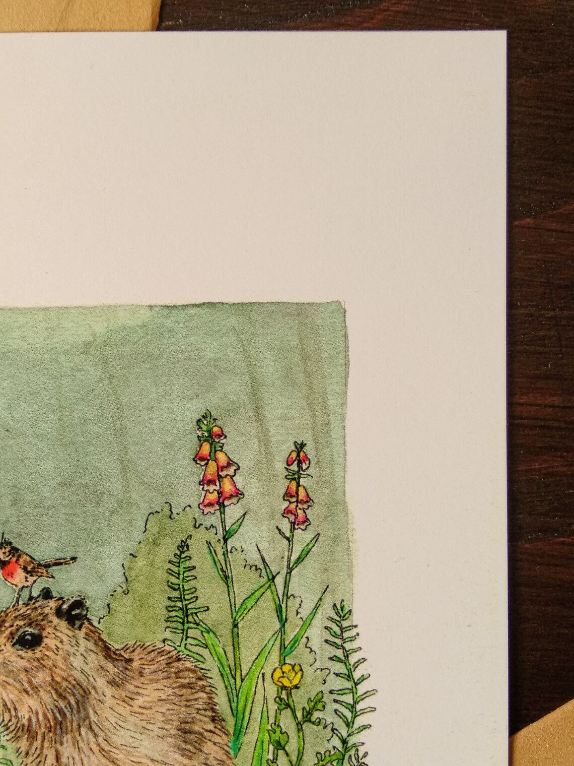 Baby Capybara Watercolor Illustration Print Vintage Artwork - Etsy