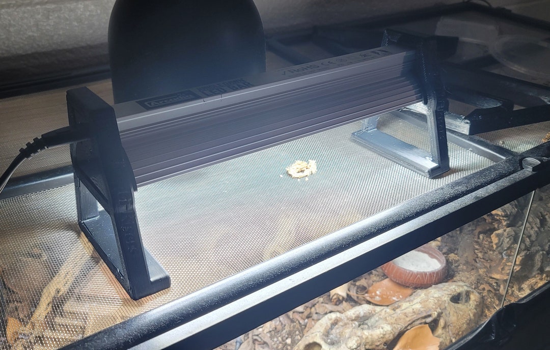 Mini-riser Jungle Dawn Model - Etsy