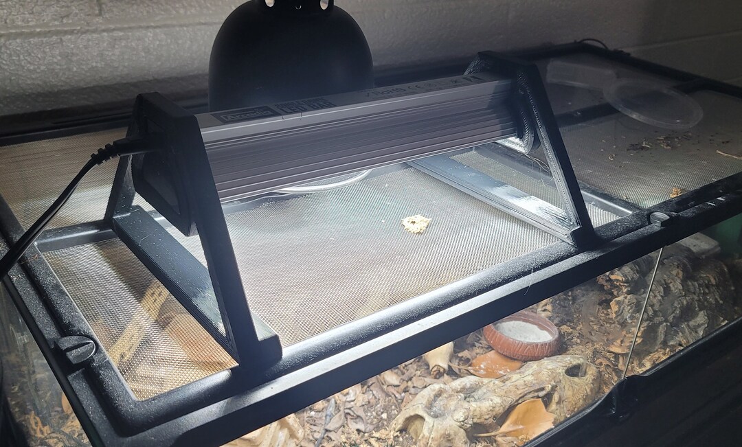 Repti-riser Jungle Dawn Model - Etsy