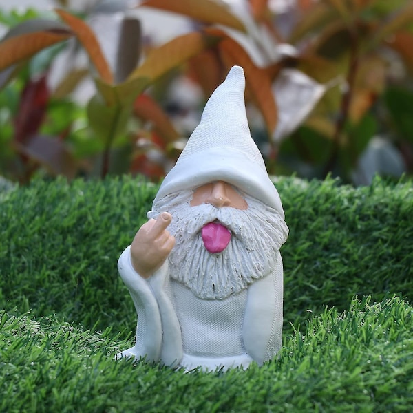Rude Garden Gnomes - Etsy